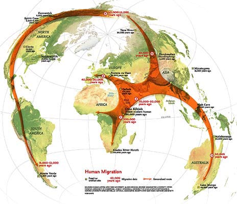 Human Origin : Where Did We Come From?